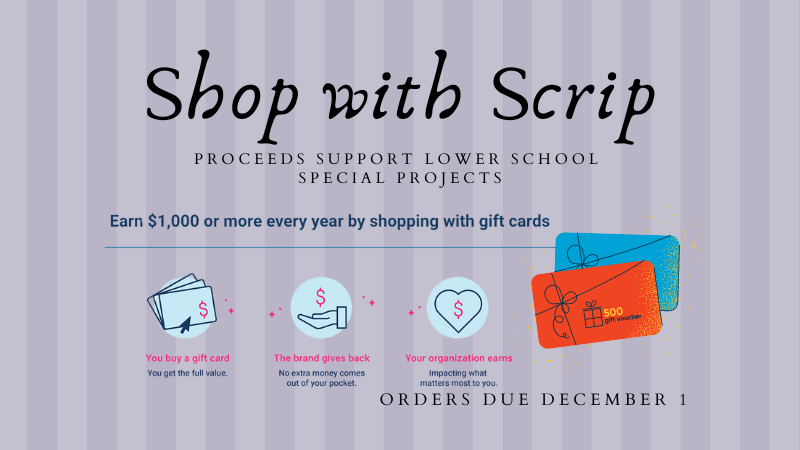 News | Plumstead Christian School